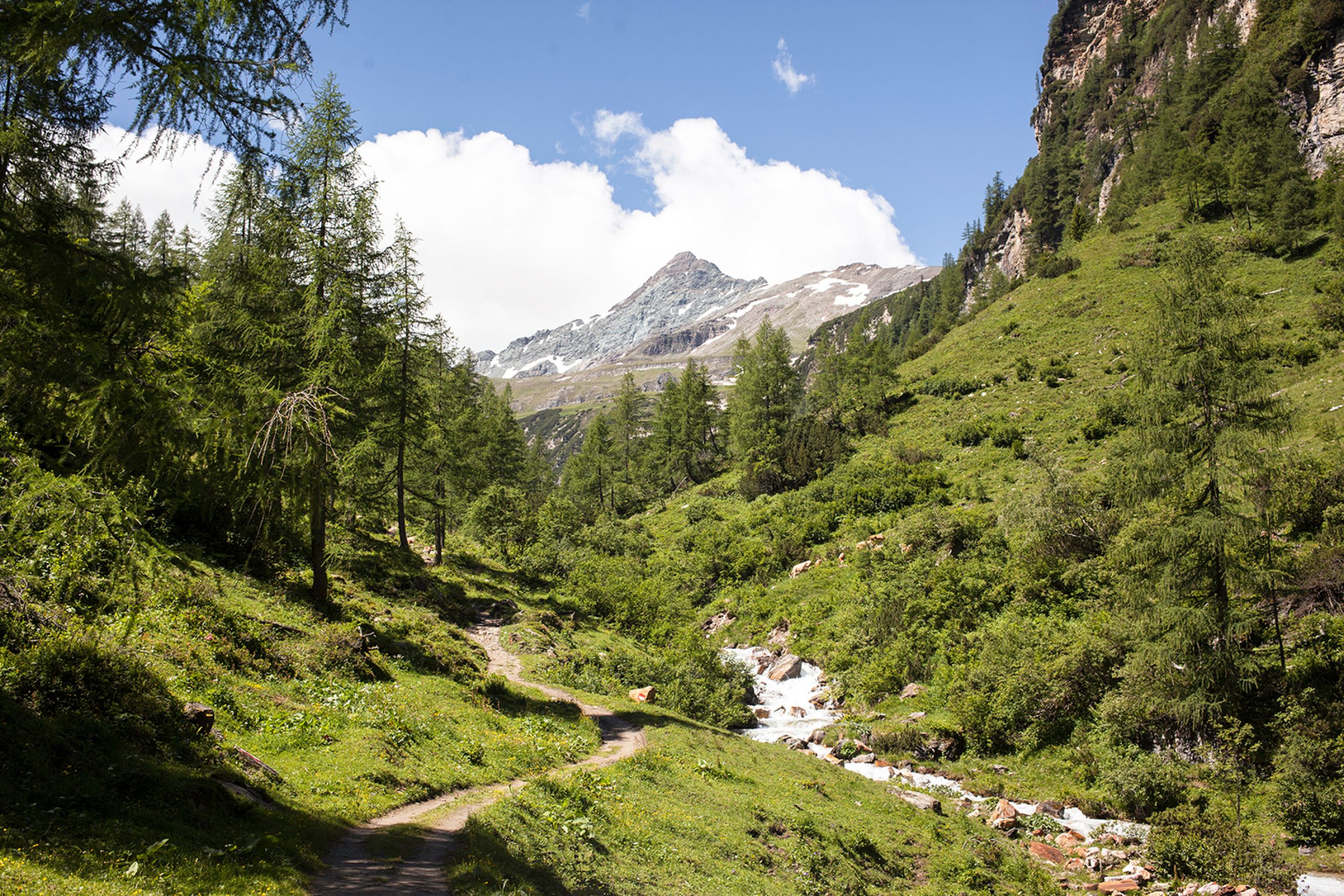 Urlaub in Rauris im Salzburger Pinzgau
